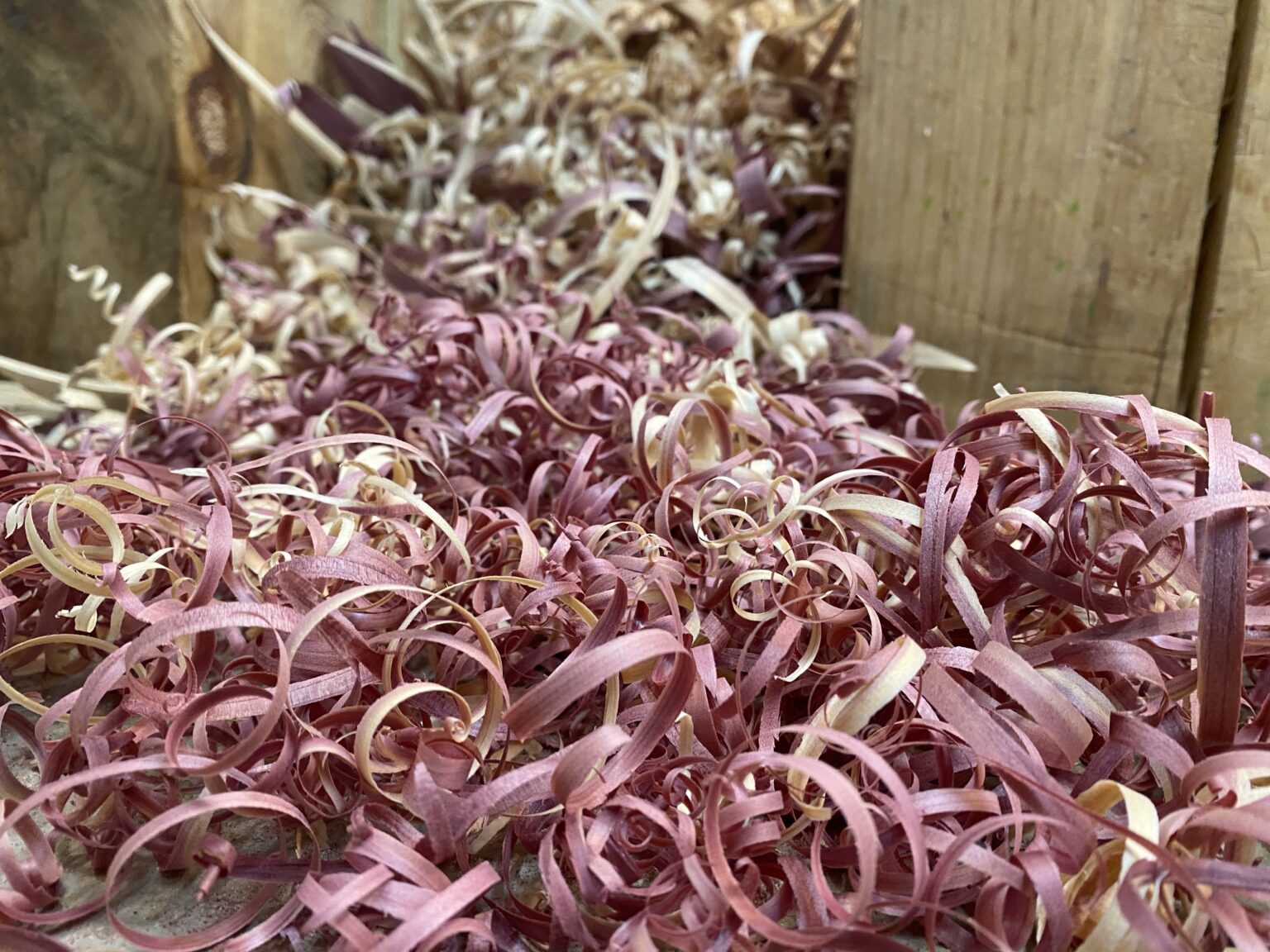 How to Make a Board Bow: High Performance Build for Beginners - Dan ...