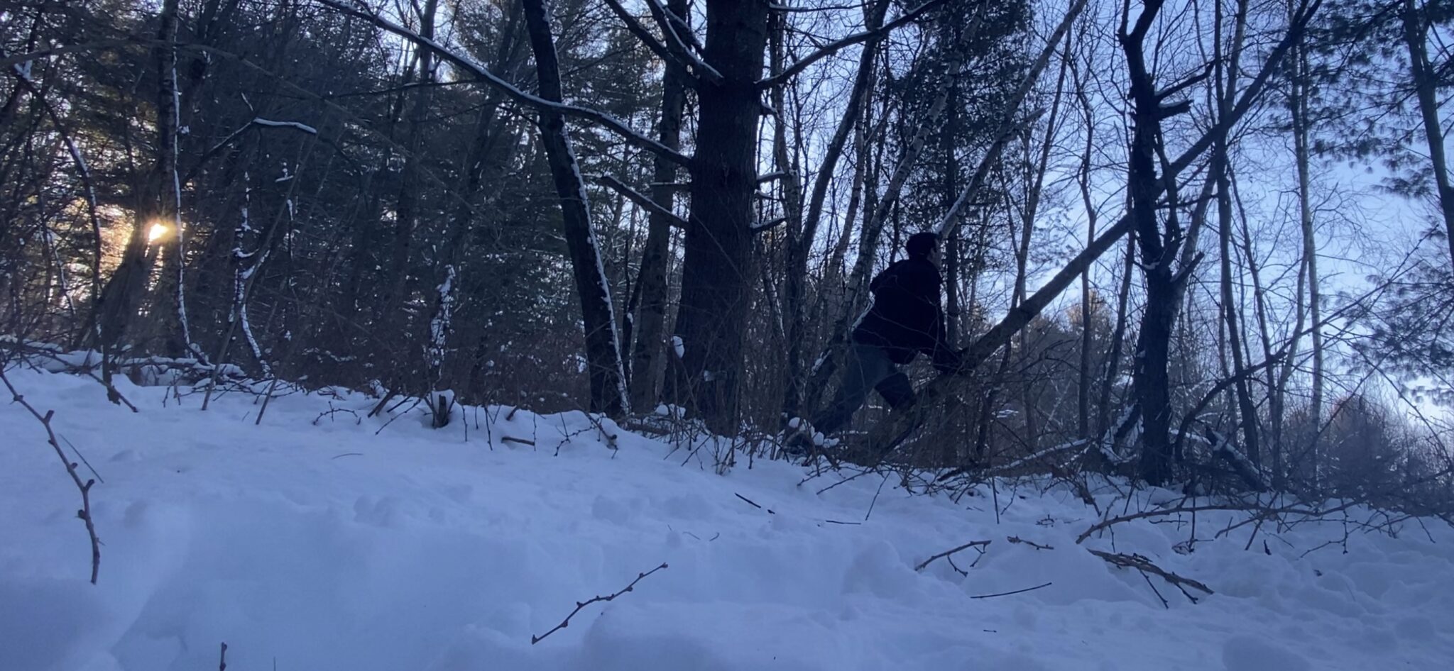 How to Make a Board Bow: High Performance Build for Beginners - Dan ...