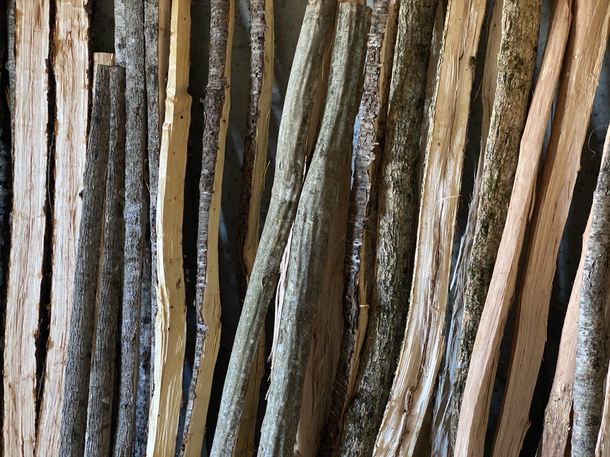 How to Make a Board Bow: High Performance Build for Beginners - Dan ...