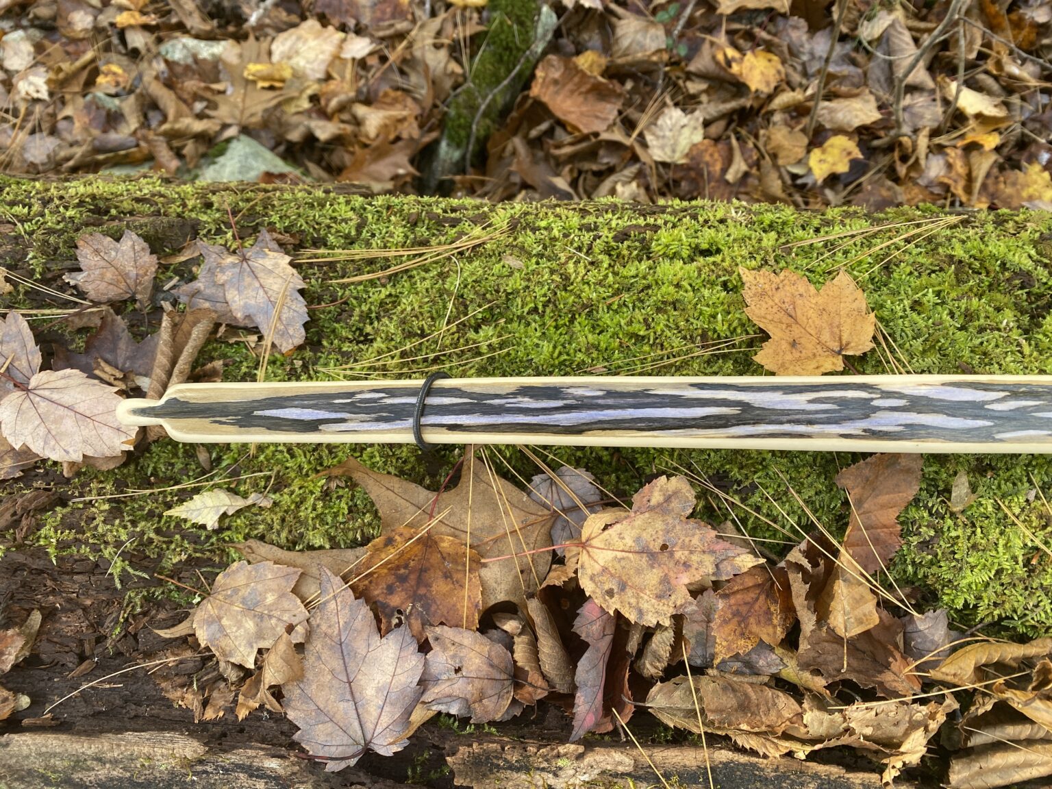 The Back of the Bow, Explained - Dan Santana Bows